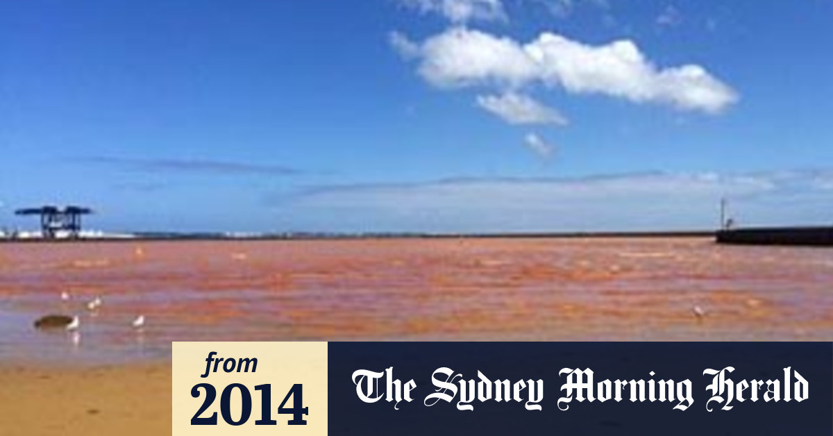 Bright Orange Plume In Botany Bay Not Toxic Says Epa